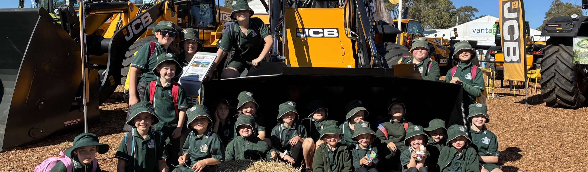 Mount Tyson State School